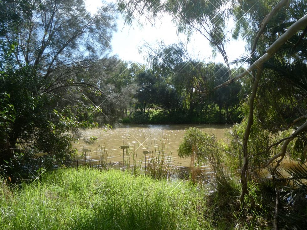 Top 5 things to do and see in Dongara-Port Denison. - Sole Traveller